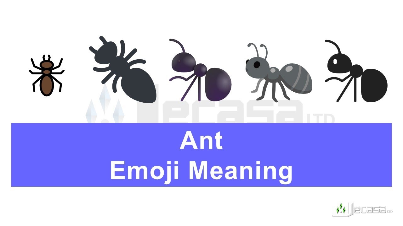 Ant Emoji 🐜 Meaning | Learning Emojis - YouTube