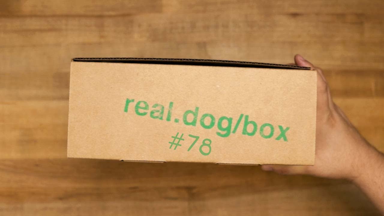 Real Dog Box # 78 - YouTube