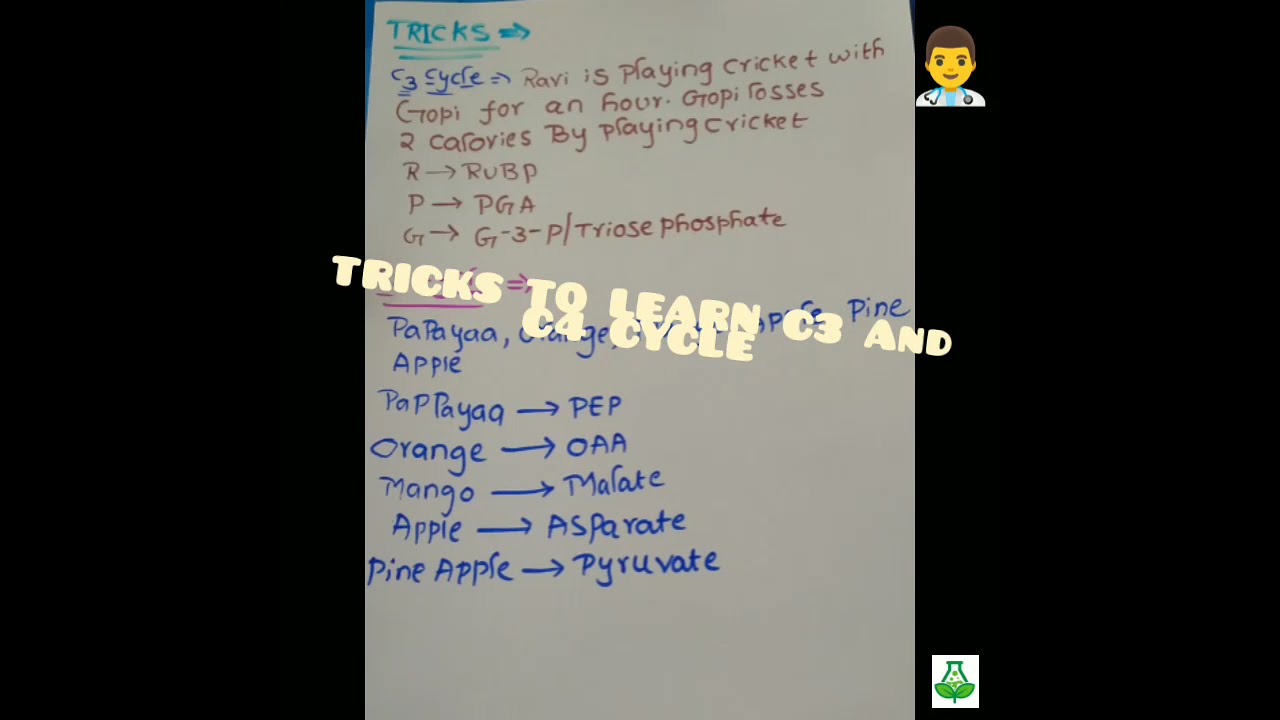TRICKS To Learn C3 and C4 Cycle||Very Easy and Useful Tricks||In 2 ...
