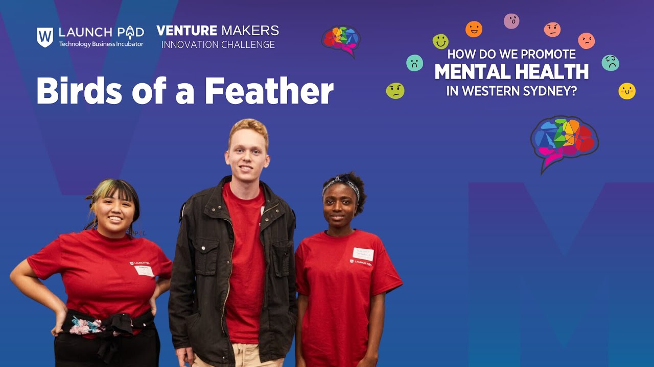 VMIC4 Pitch: Birds Of A Feather - YouTube