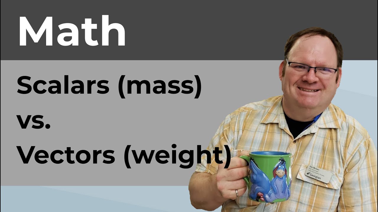 Scalars (Mass) vs. Vectors (Weight) - YouTube