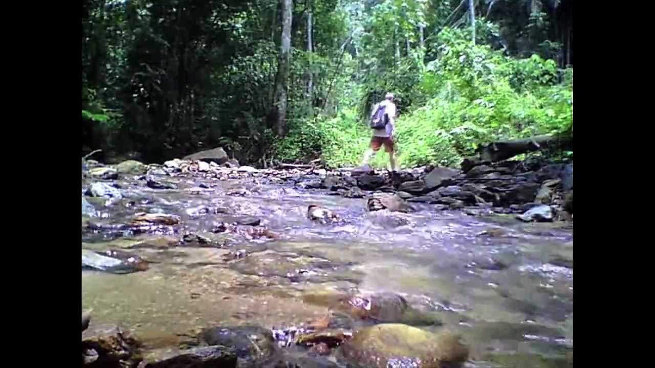 #13: Another Day, Another Waterfall (Ulu Tamu) - YouTube