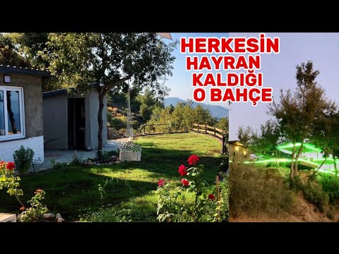 TARLADAN BAHÇEYE MUHTEŞEM DÖNÜŞÜM!#bahçe #köyegöç #doğa #huzur #çiçekler #doğadayaşam#alanya_turkey 