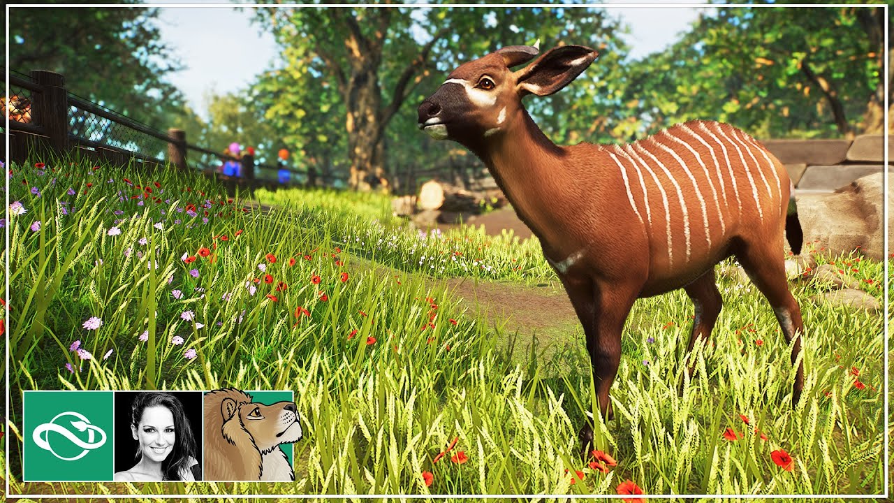 Ultimate Bongo, Nyala & Warthog Habitat Build in Franchise Mode | Ep. 7 ...