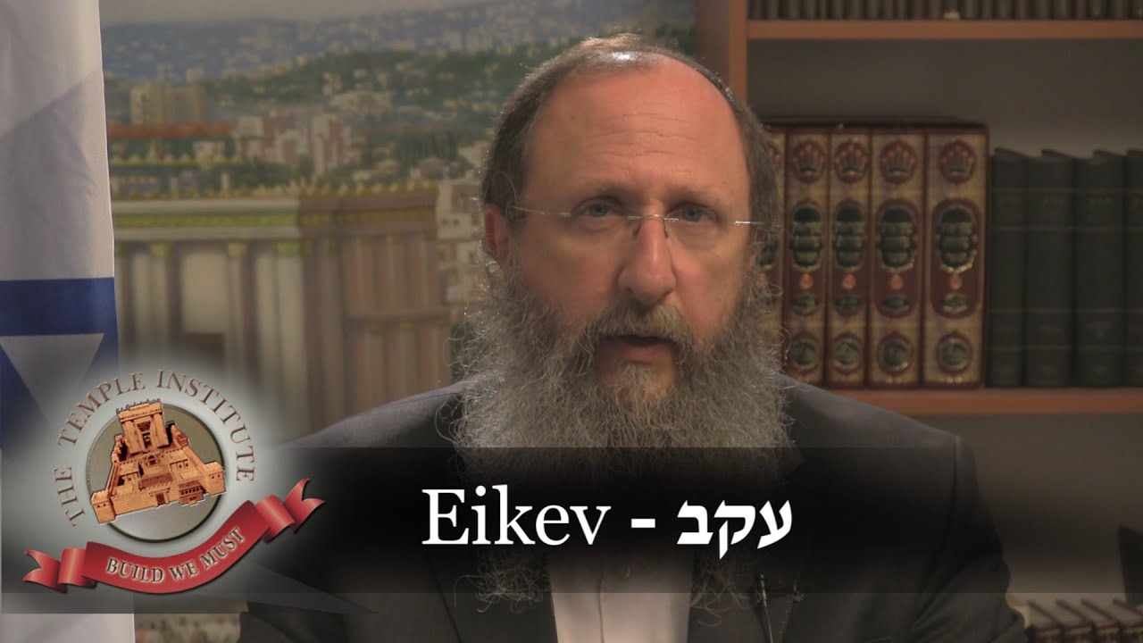 Weekly Torah Portion: Eikev - YouTube