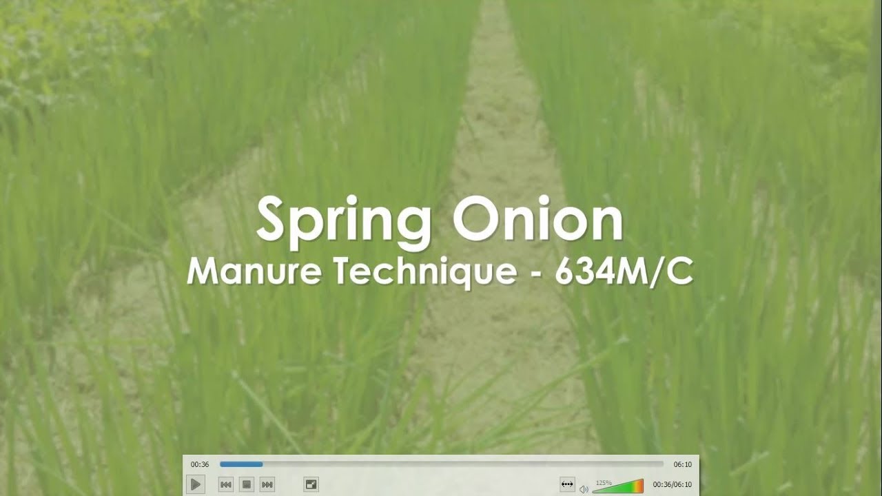 Spring Onion - Manure 634MC - YouTube