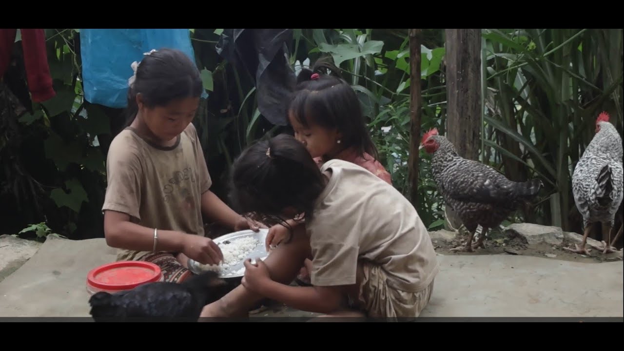 Traditional mountain village life || Rural culture - YouTube
