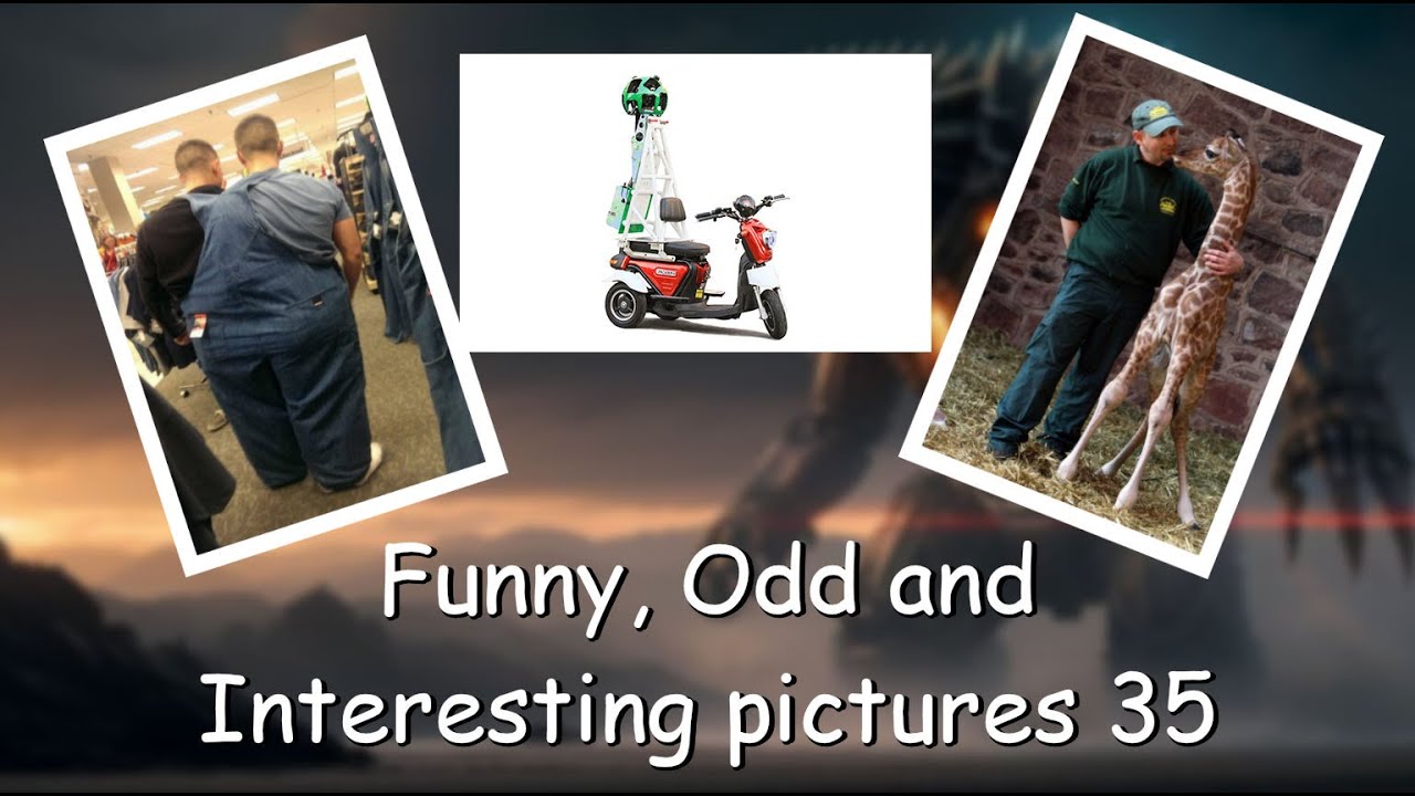 Funny, Odd, Interesting Pictures Video 35 - YouTube