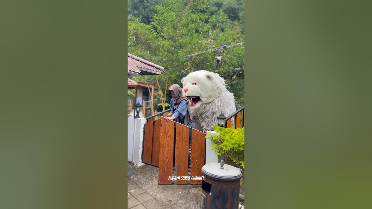 Cewek Cantik Masukin Can Macanan Ke Dalam Kandang!!! - YouTube