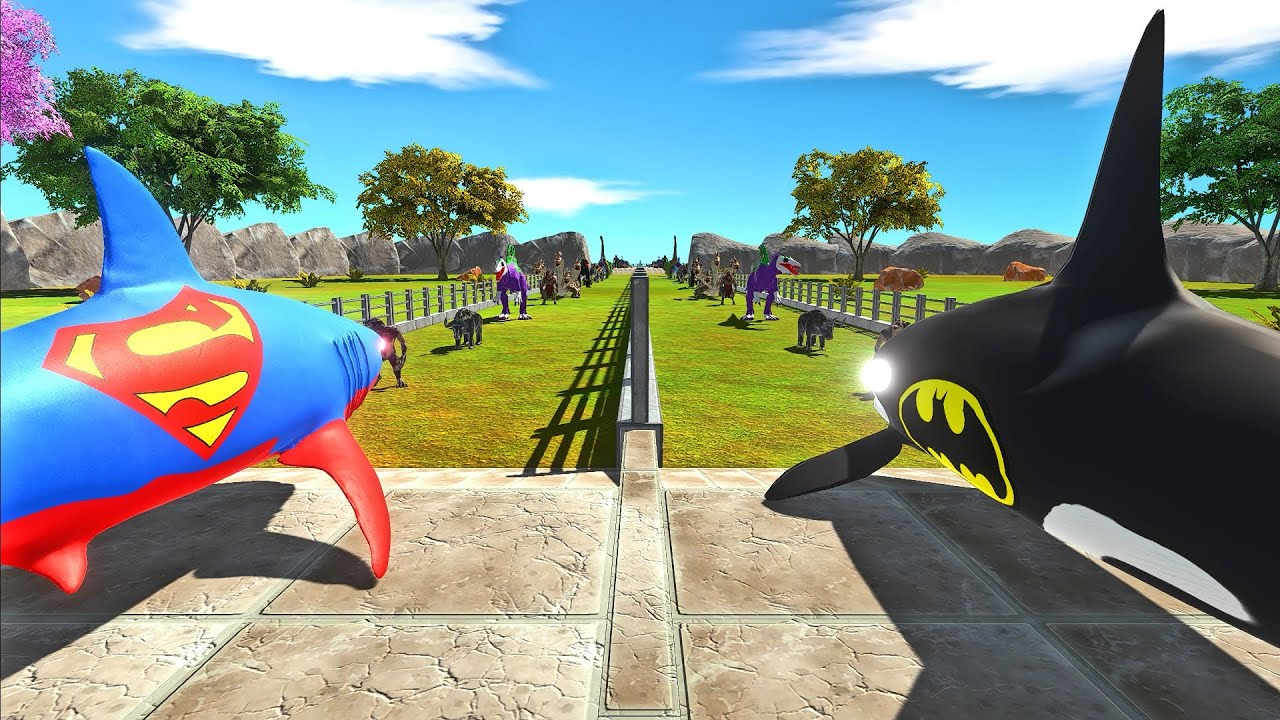 SUPERMAN SHARK vs BATMAN ORCA - Who is faster and stronger? - Animal ...