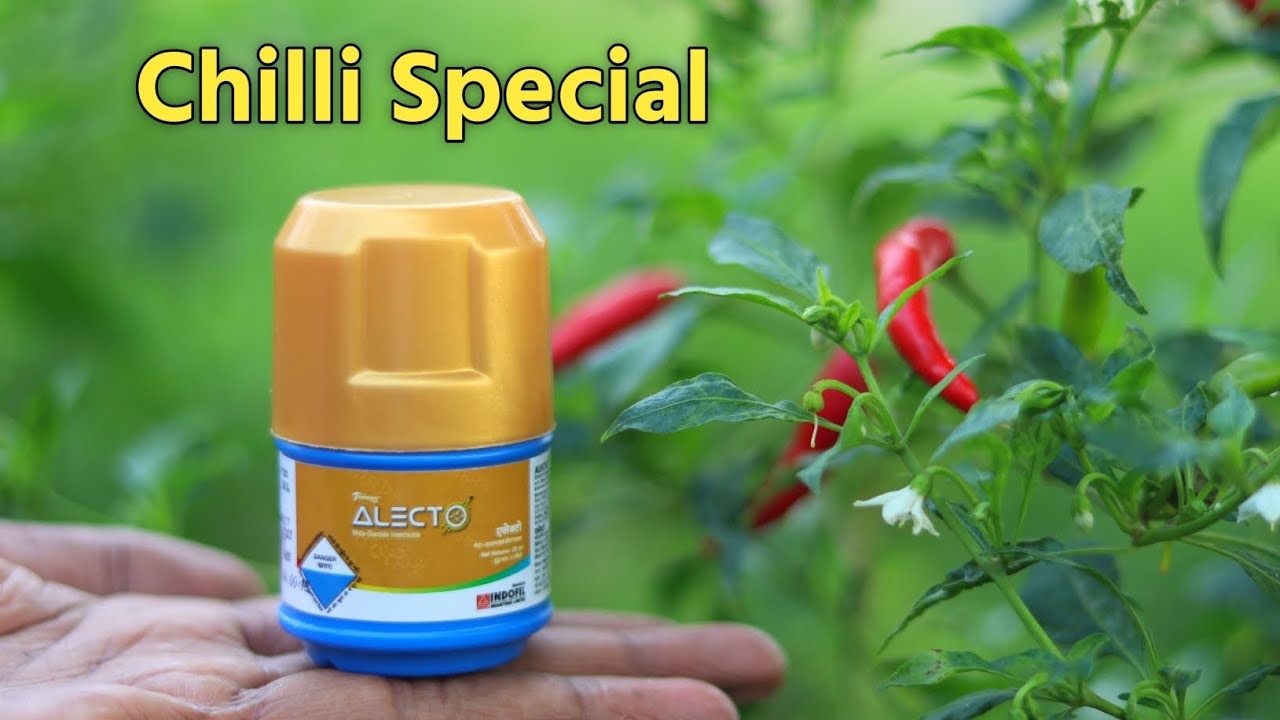 Alecto Indofil | Indofil Alecto Insecticide | कमाल का कीटनाशक - YouTube