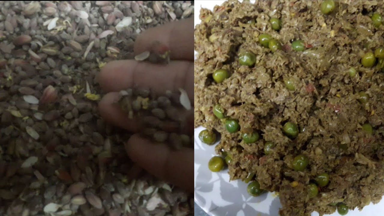 सहजन ( सवाँजने) के फूल || Drumstick flowers - YouTube