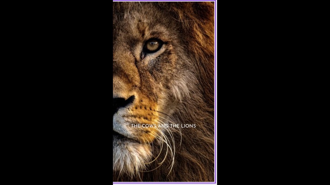 Short story। The Cows and the Lions। kids' story। Spoken English। Story ...