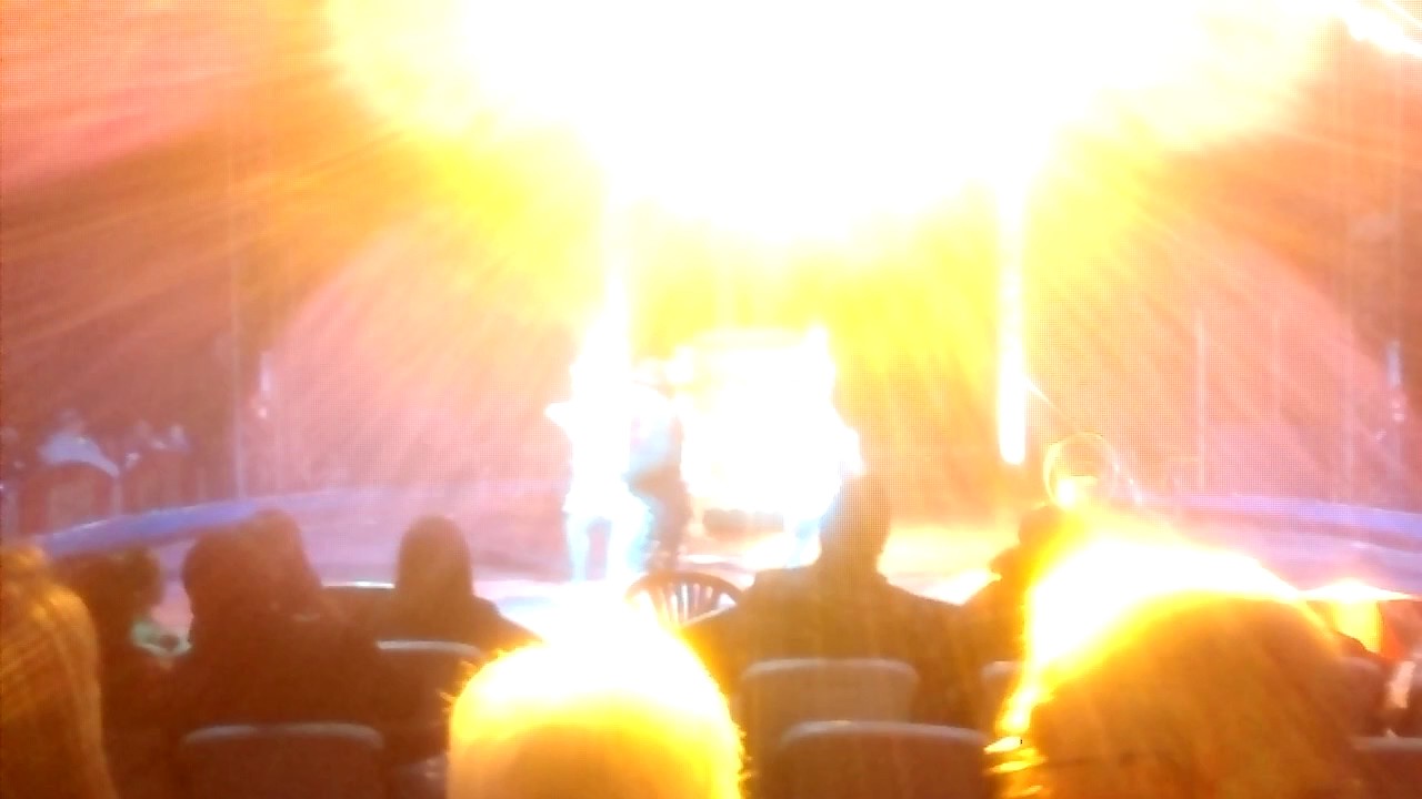 Circus (8) - YouTube