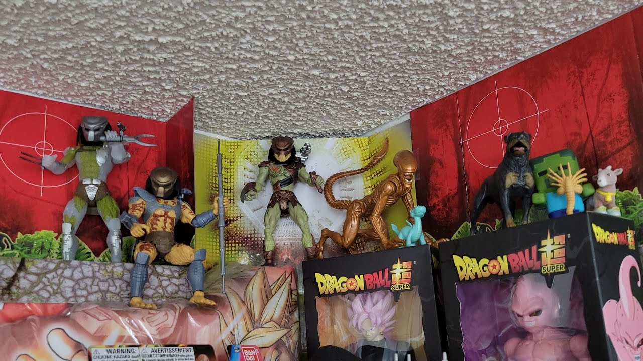 Predator DISPLAY - YouTube