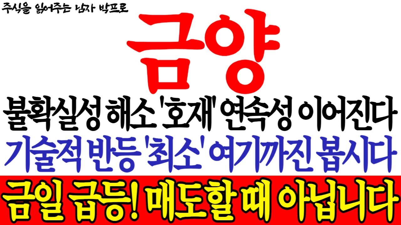 금양 주가전망 불확실성 해소 호재 연속성 이어진다 기술적 반등 최소 여기까진 봅시다 금일 급등 매도할 때