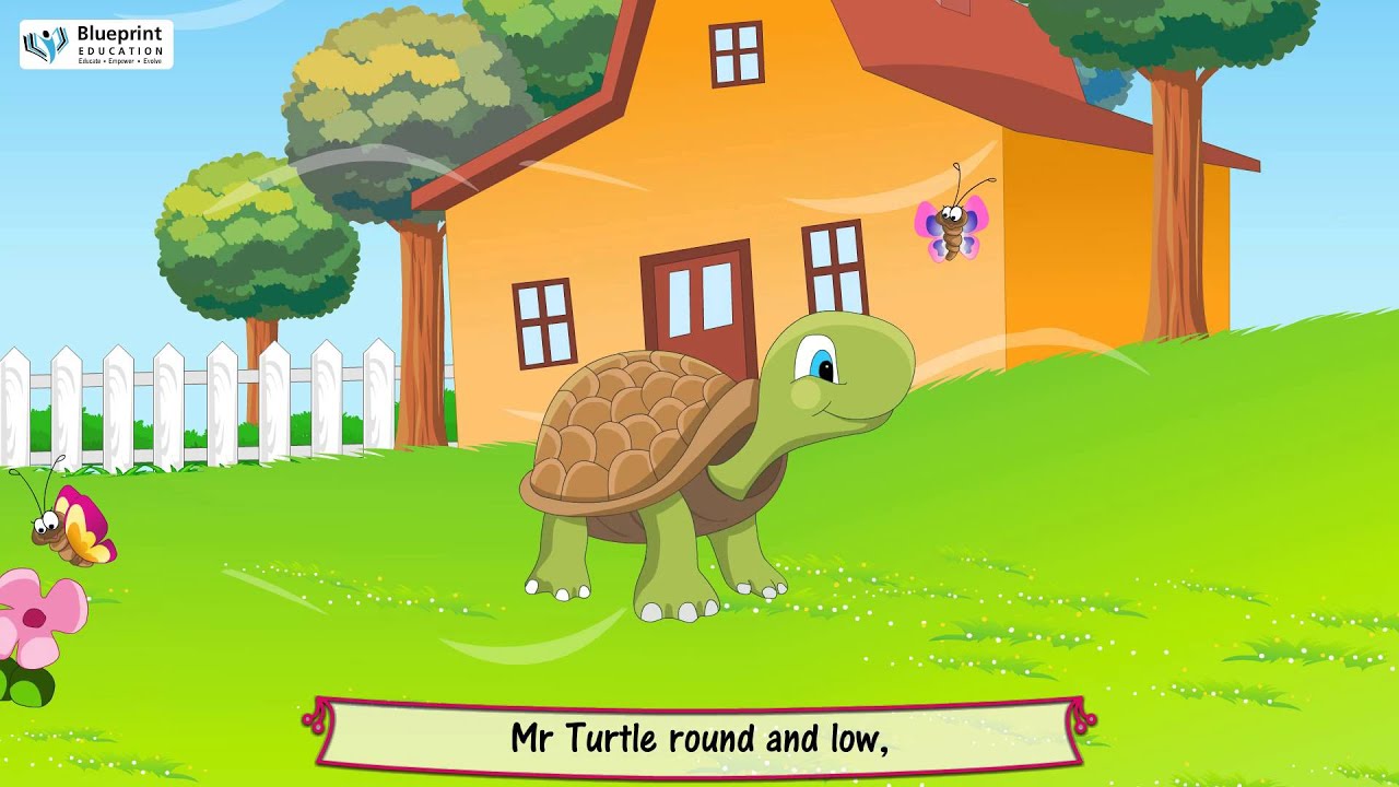 Children Rhyme Turtle - YouTube