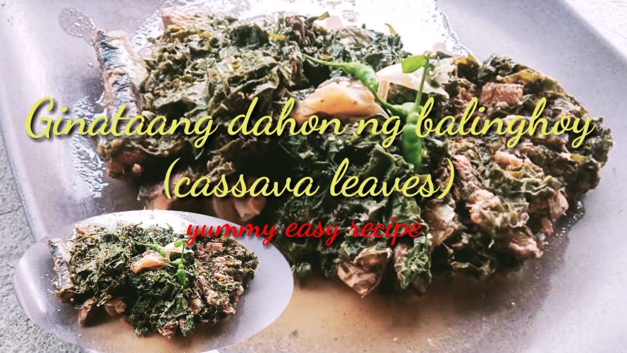 GINATAANG DAHON NG BALINGHOY W/SARDINES (CASSAVA LEAVES) - YouTube