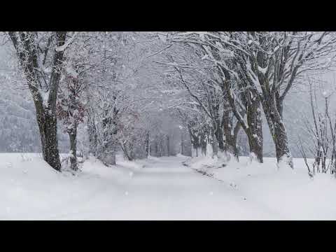 Magical Classical Christmas Music – Beethoven, Mozart, Chopin | Cozy Winter Days