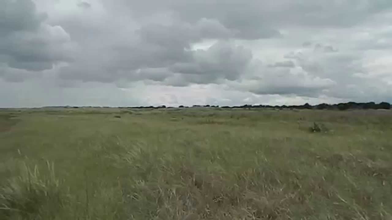 Panorama of Saltfleetby-Theddlethorpe Nature Reserve & Sand Dunes - YouTube