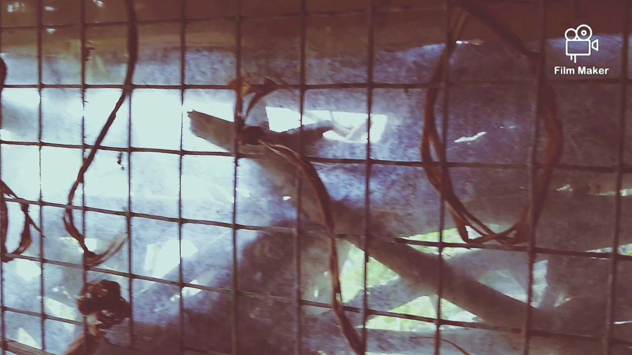 Ian Arkley - Woodman - YouTube