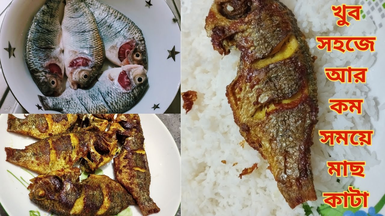 ফিস কাটার দিয়ে খুব সহজে আর কম সময়ে মাছ কাটা পদ্ধতি।। Easy fish ...