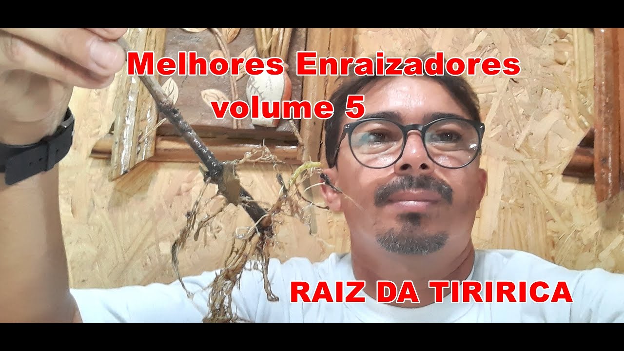 Melhores Enraizadores, VOL 5 (Enraizador com raiz da Tiririca) o melhor ...
