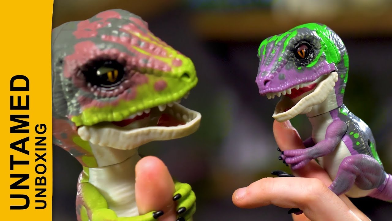 Untamed! How to play... - YouTube