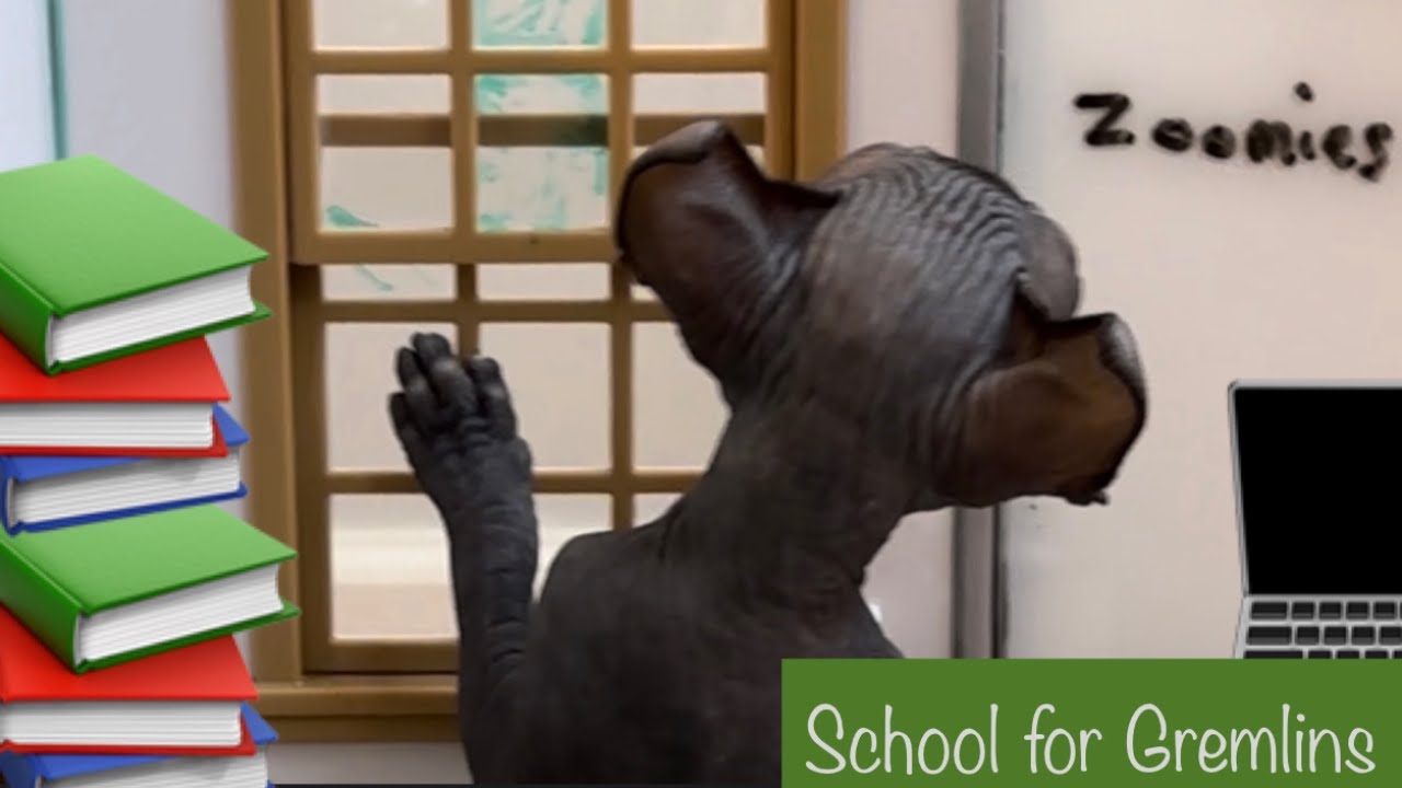 School for Gremlins 📕 😈 ️ - YouTube