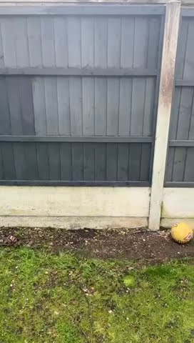 B&Q Fence Painting Spring Time With The Knotman - YouTube