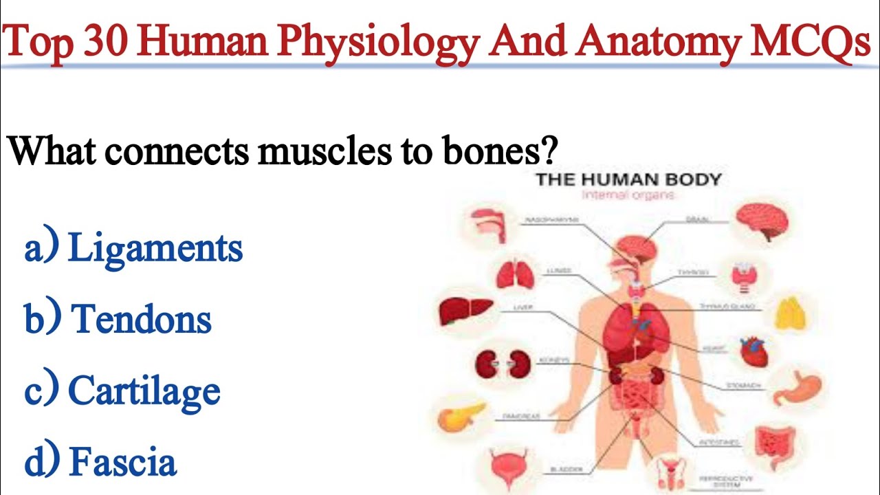 Human Physiology and Anatomy Mcqs || Human Body Mcqs For All ...