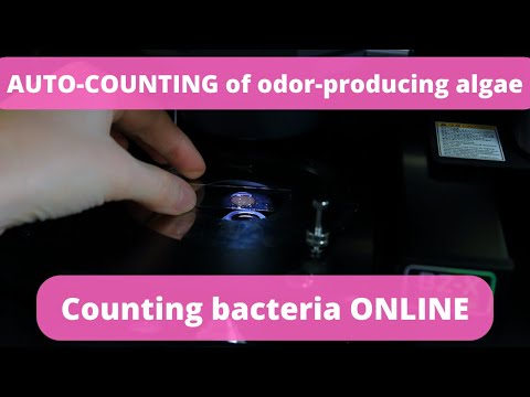 Advanced analytical techniques: Auto-algae counting and ONLINE bacterial counting (PhD defense)