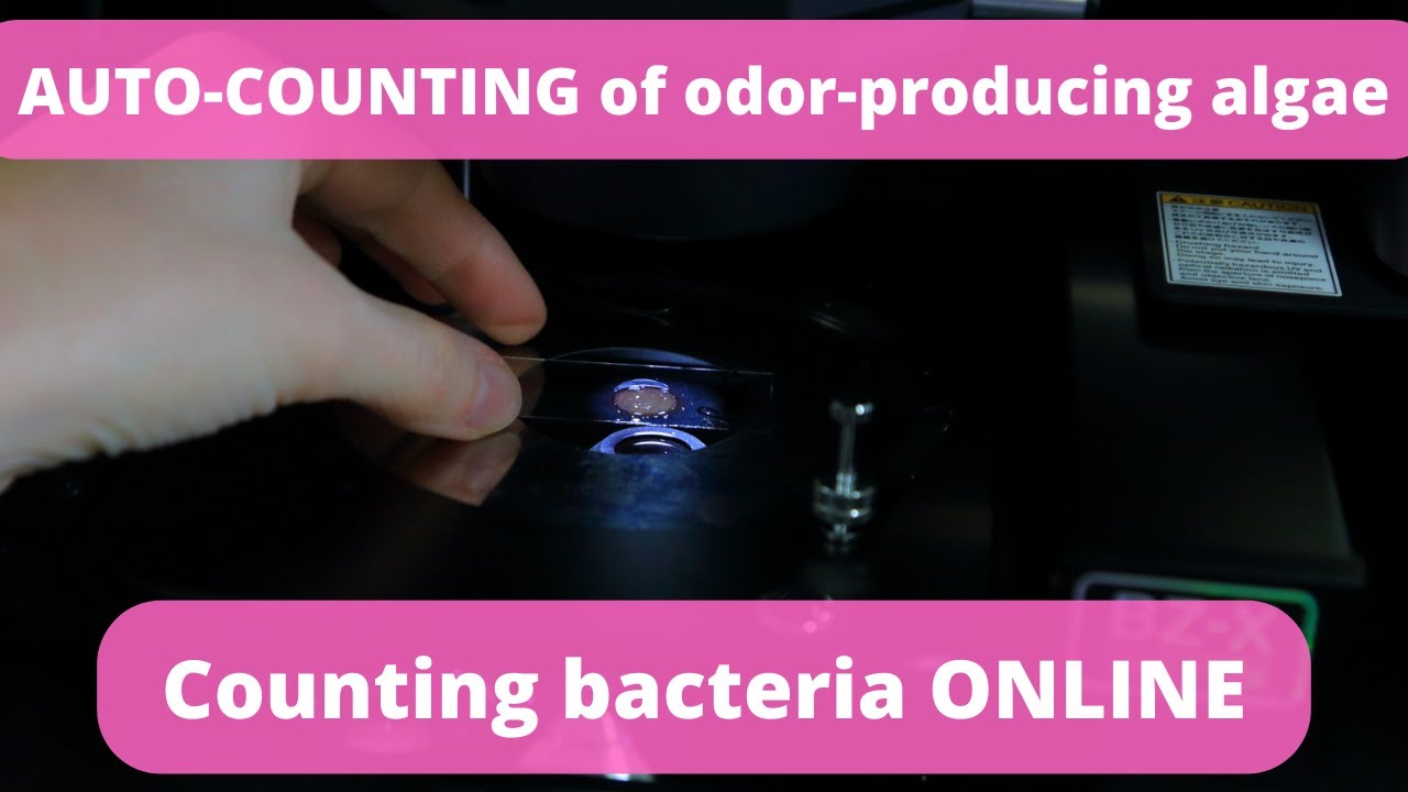 Advanced analytical techniques: Auto-algae counting and ONLINE ...