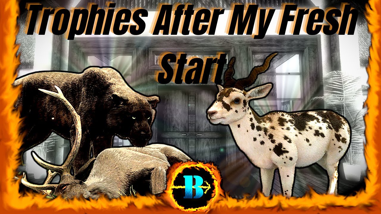 🔥My FAVORITE MULTIMOUNT! New Trophies Since I Came Back To COTW - YouTube