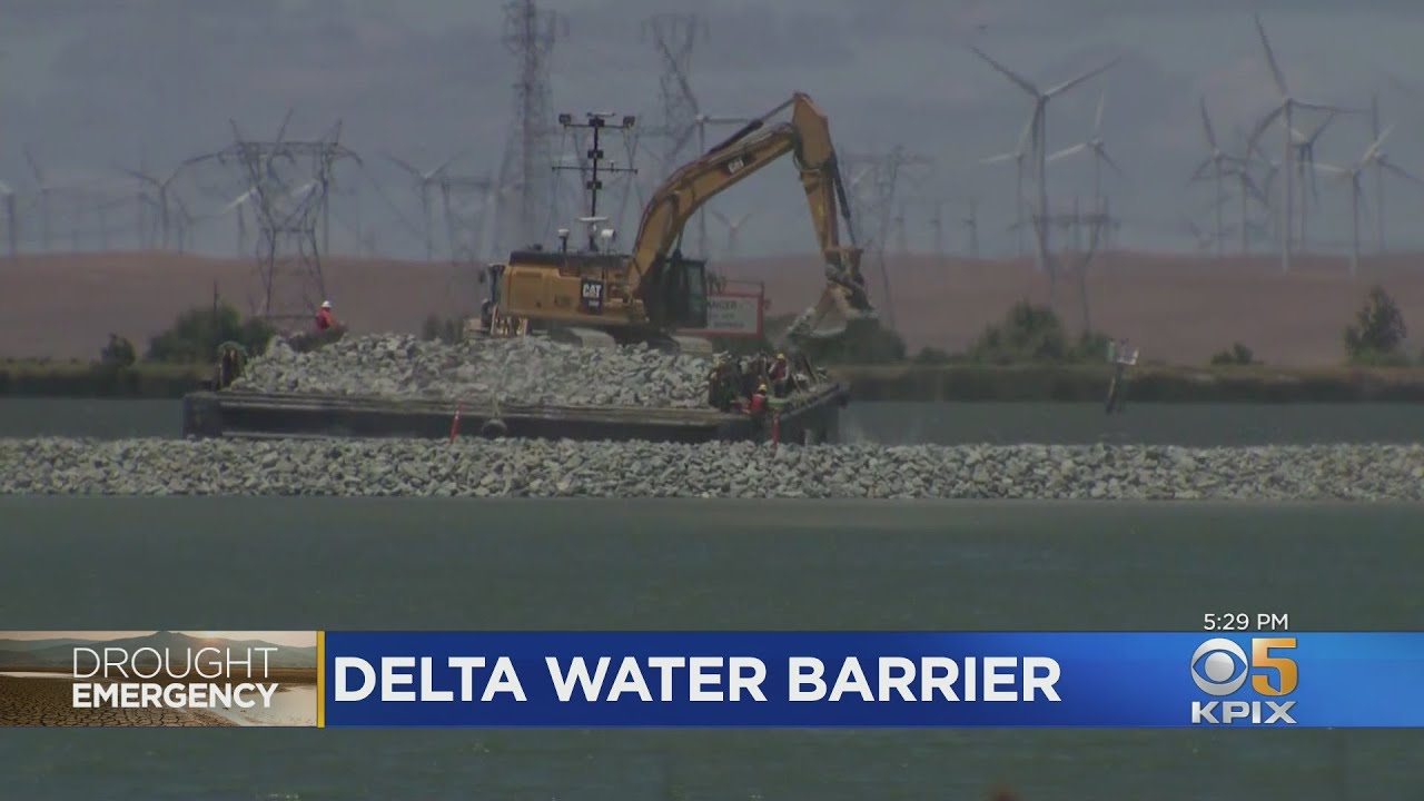 Drought Emergency: Barrier Put Up In Delta To Keep Salt Water Out - YouTube