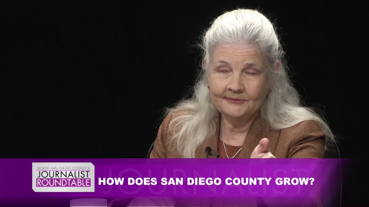 Journalist Roundtable February 2017 - Sandra Farrell - YouTube