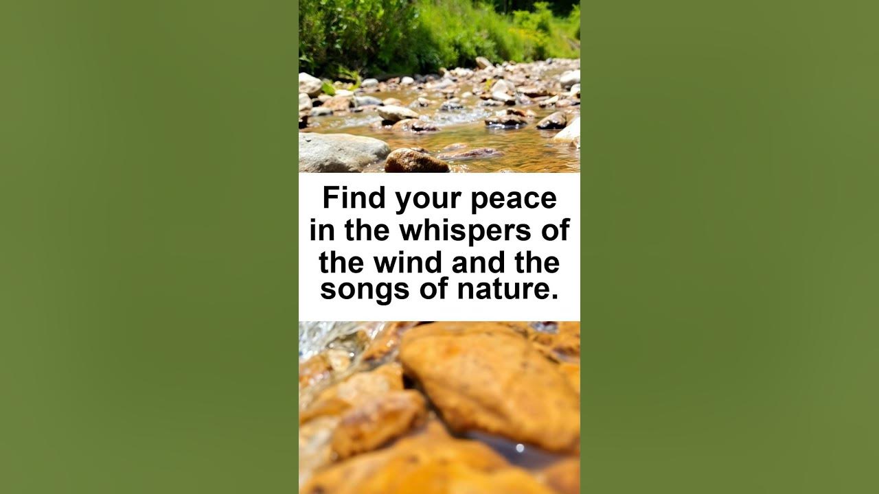 Rejuvenate with Nature's Serenity | 1H Crystal Unwind Part 2 - YouTube