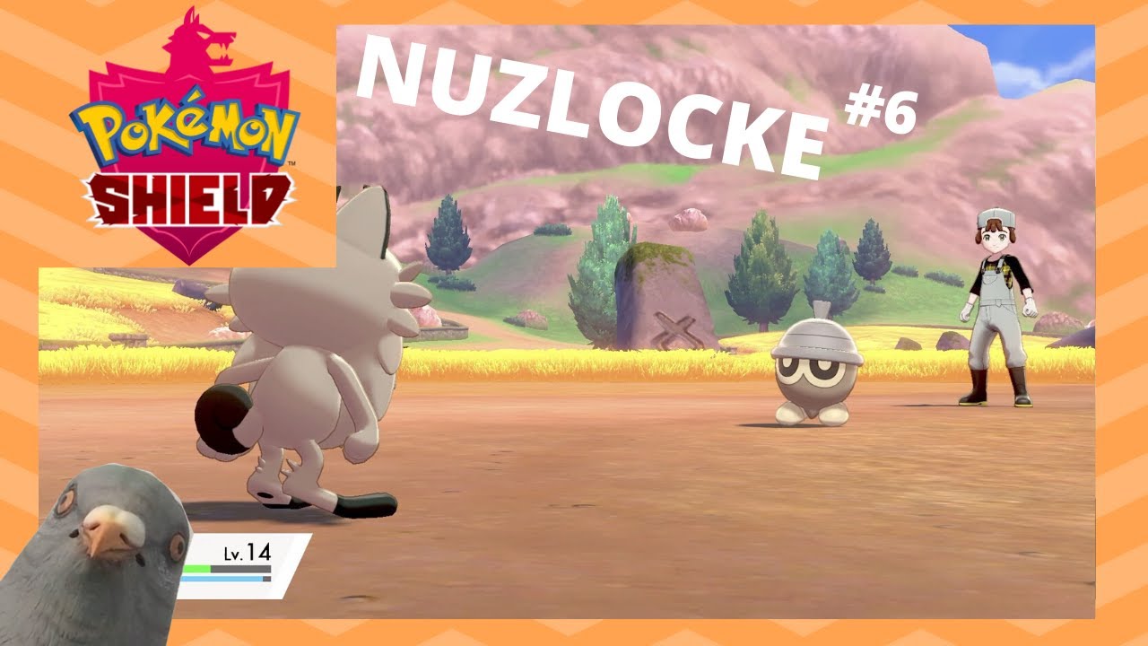 BEARD CAT! Pokémon Shield Nuzlocke #6 - YouTube