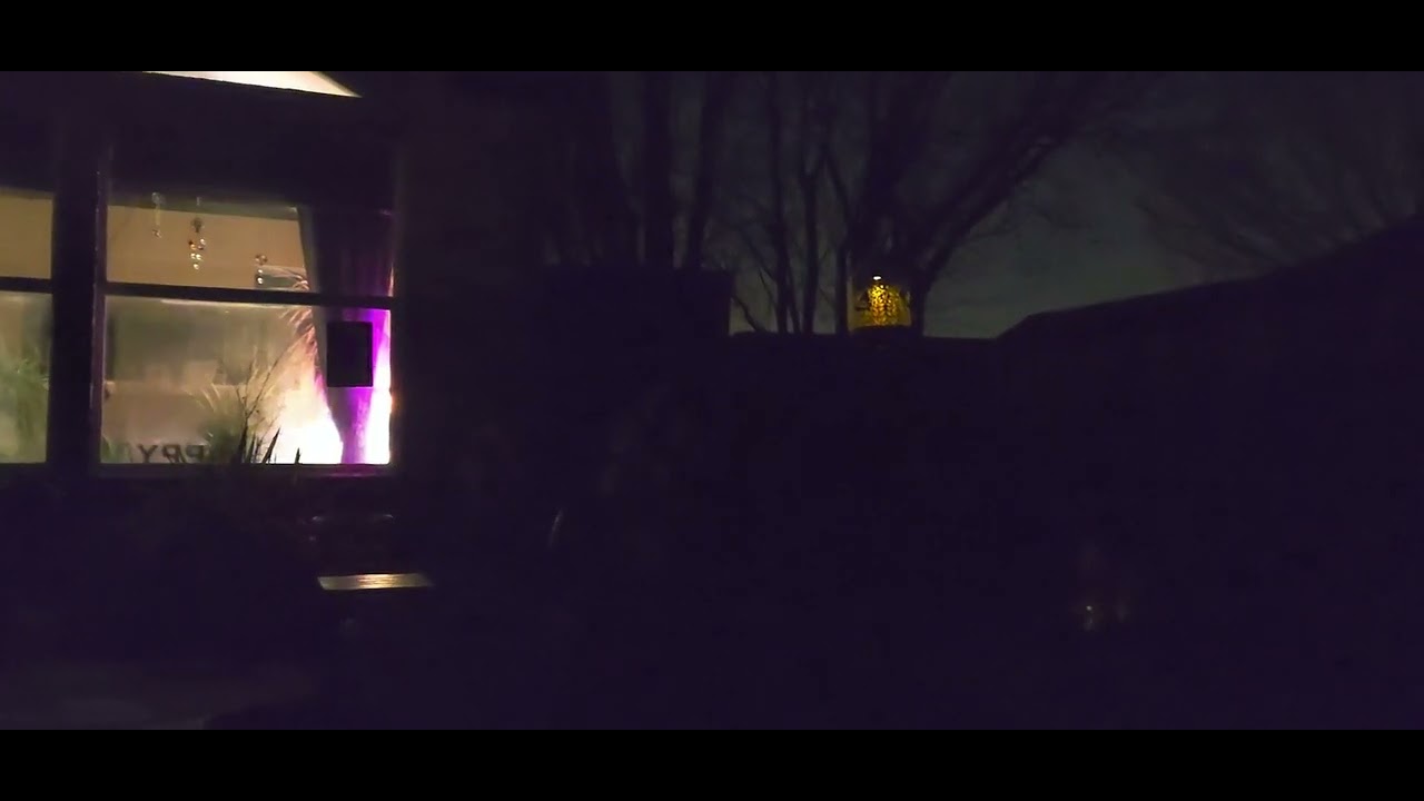 Prophecy...Analogy of a Ross bush. - YouTube