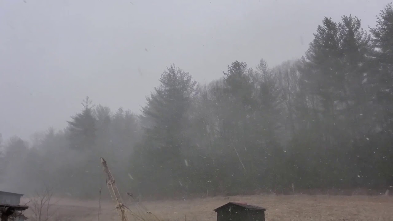 Snow Squall - Ashe County, NC 03/06/2020 - YouTube
