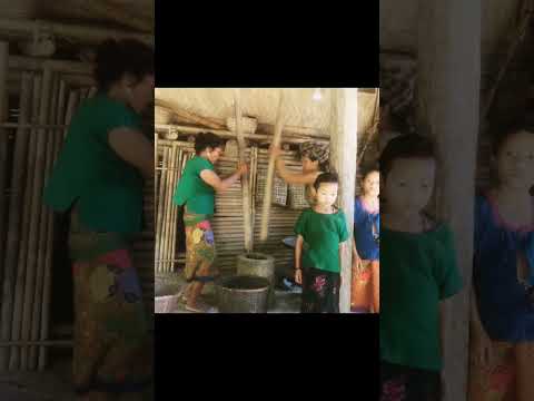 Struggling life of Mro indigenous people! Husking paddy in a old ...