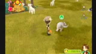 Harvest Moon Animal Parade Animals
