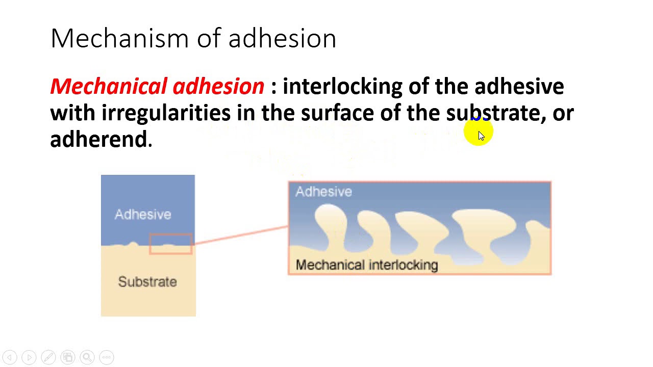 Operative302: Basic adhesion part1 - YouTube