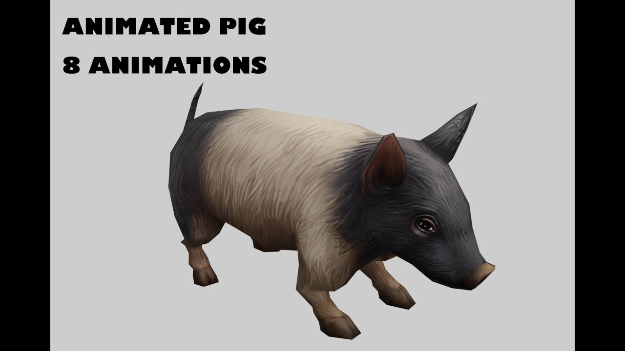 3D Pig animations - YouTube