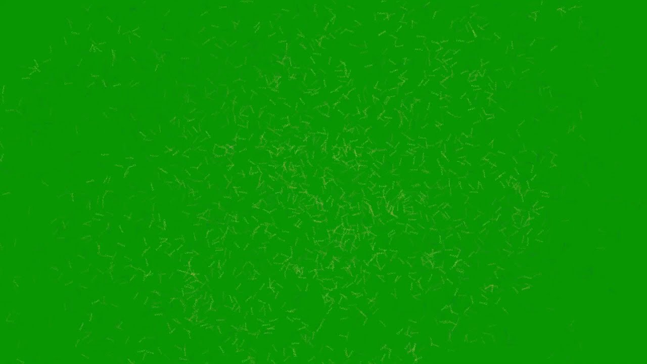 Full HD Green Screen Glow Particls Effects Free - YouTube