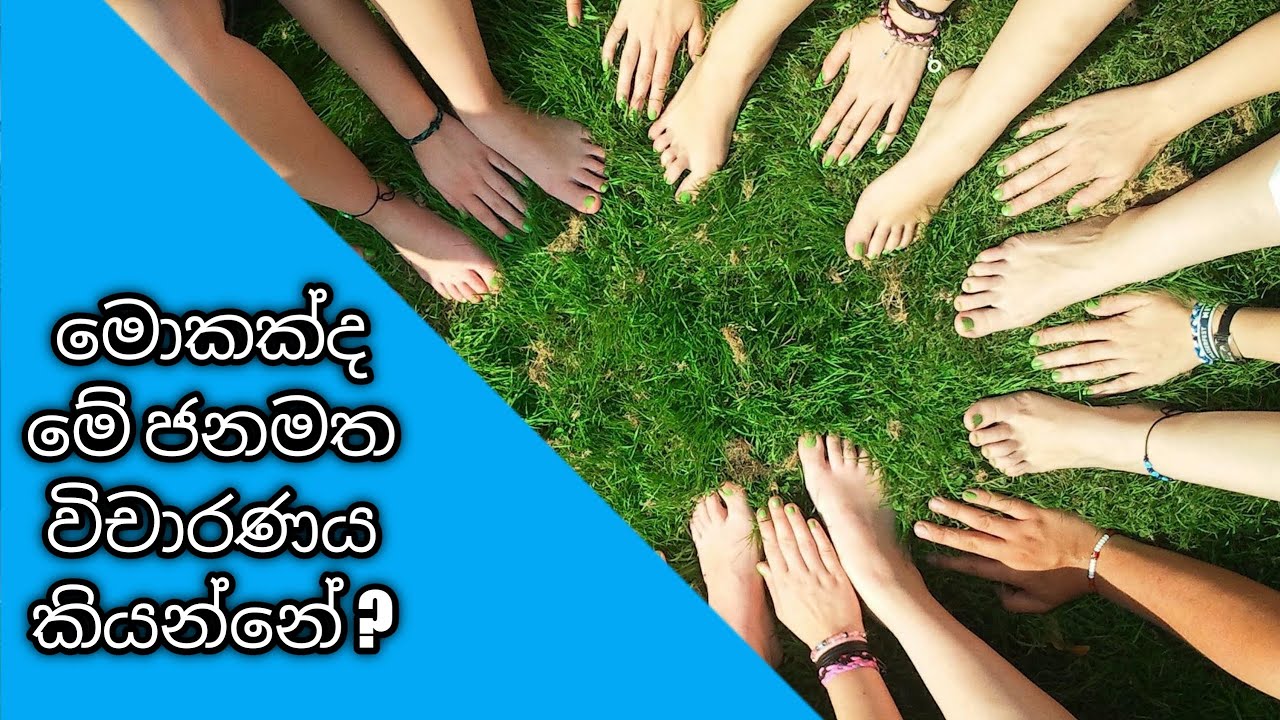 මොකක්ද මේ ජනමත විචාරණය කියන්නේ ?/What is this referendum?/ referendum ...