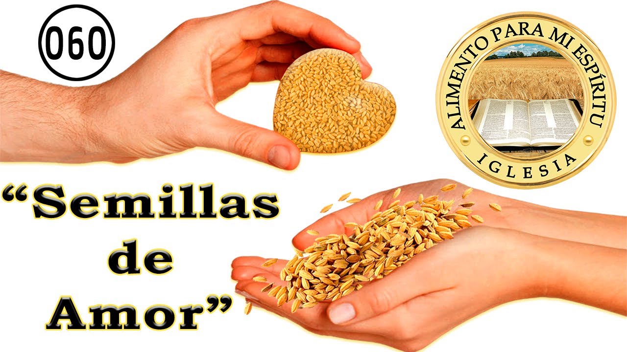 SEMILLAS DE AMOR 060 - YouTube