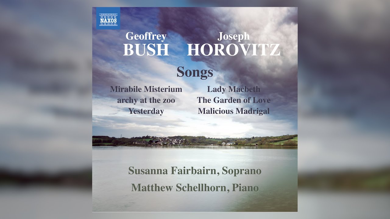 Matthew Schellhorn official album trailer | Bush & Horovitz: Songs ...