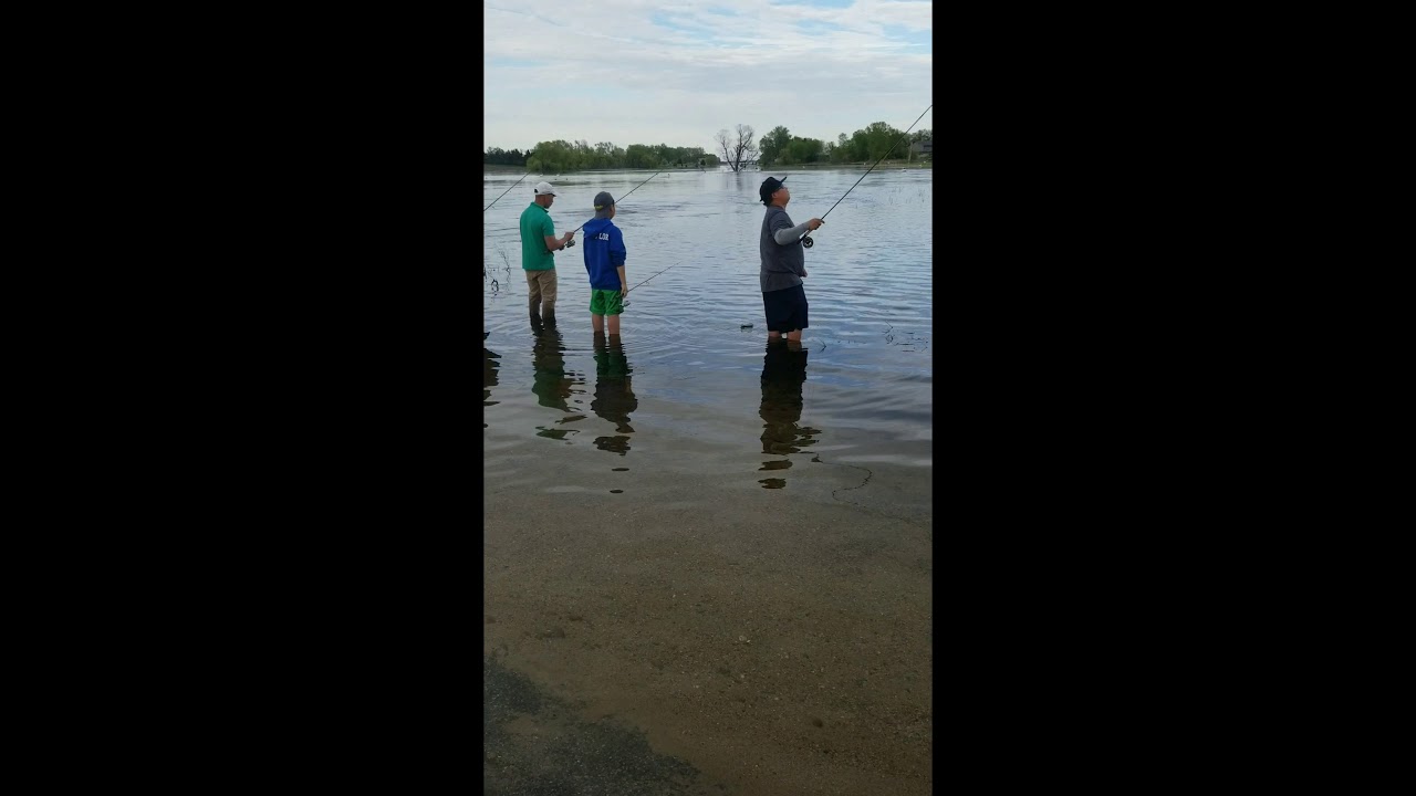 Hmong fishing 2019 - YouTube