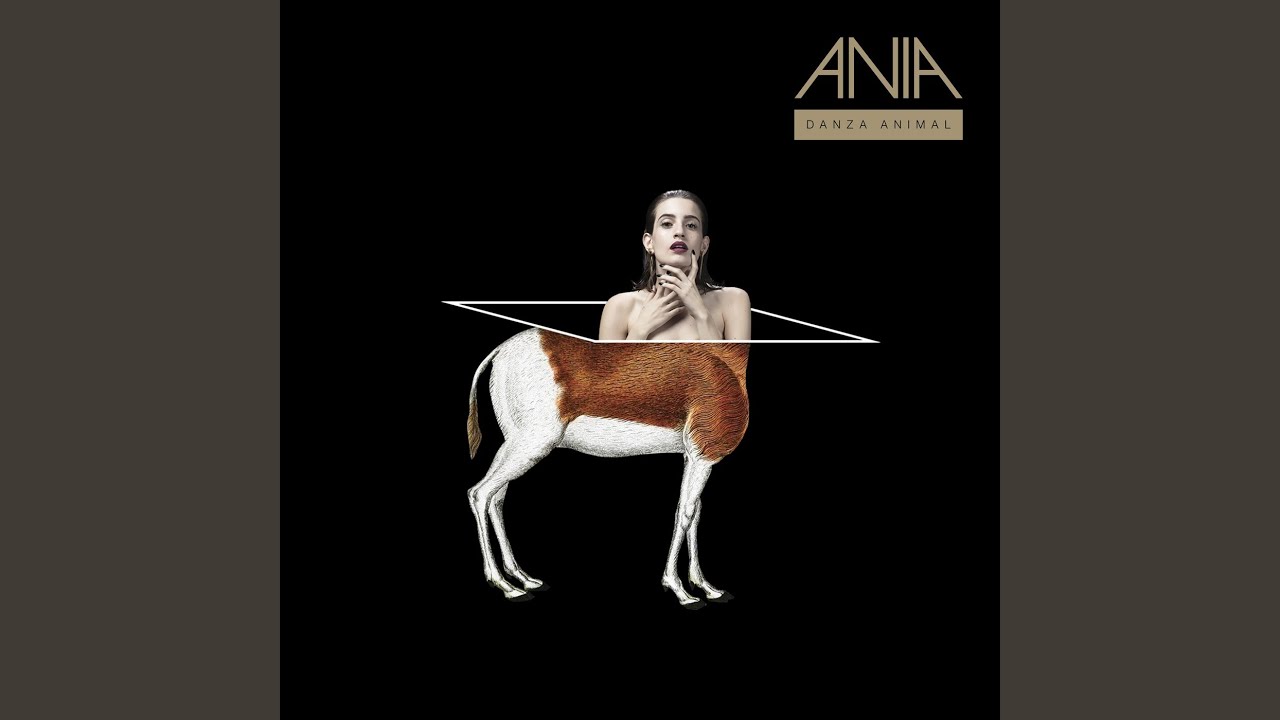 Danza Animal - YouTube